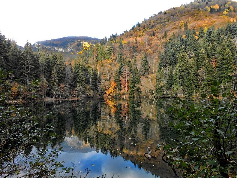 ბუნების ღირებულების თვალსაჩინოდ წარმოჩენა – ნაბიჯი (უკეთესი) მდგრადი ...