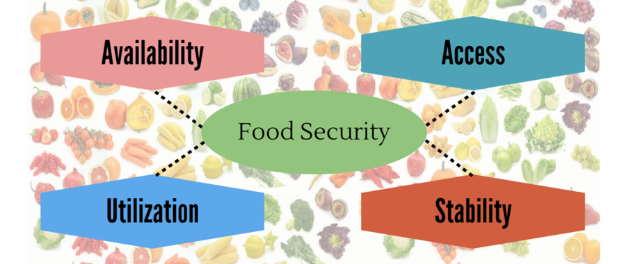 Assessing the Food Security Data Relevance and Collection Mechanisms in ...